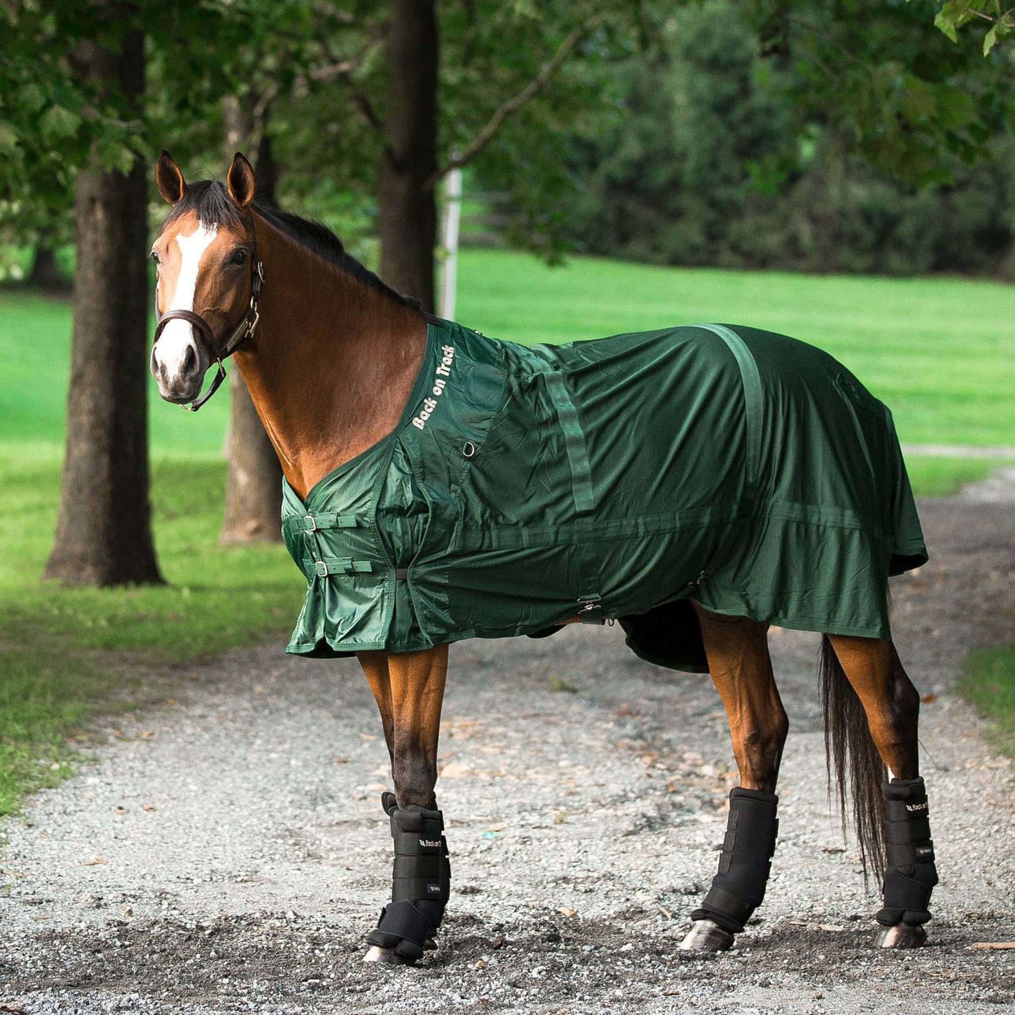 Back On Track Mesh Horse Therapy Mesh Sheet
