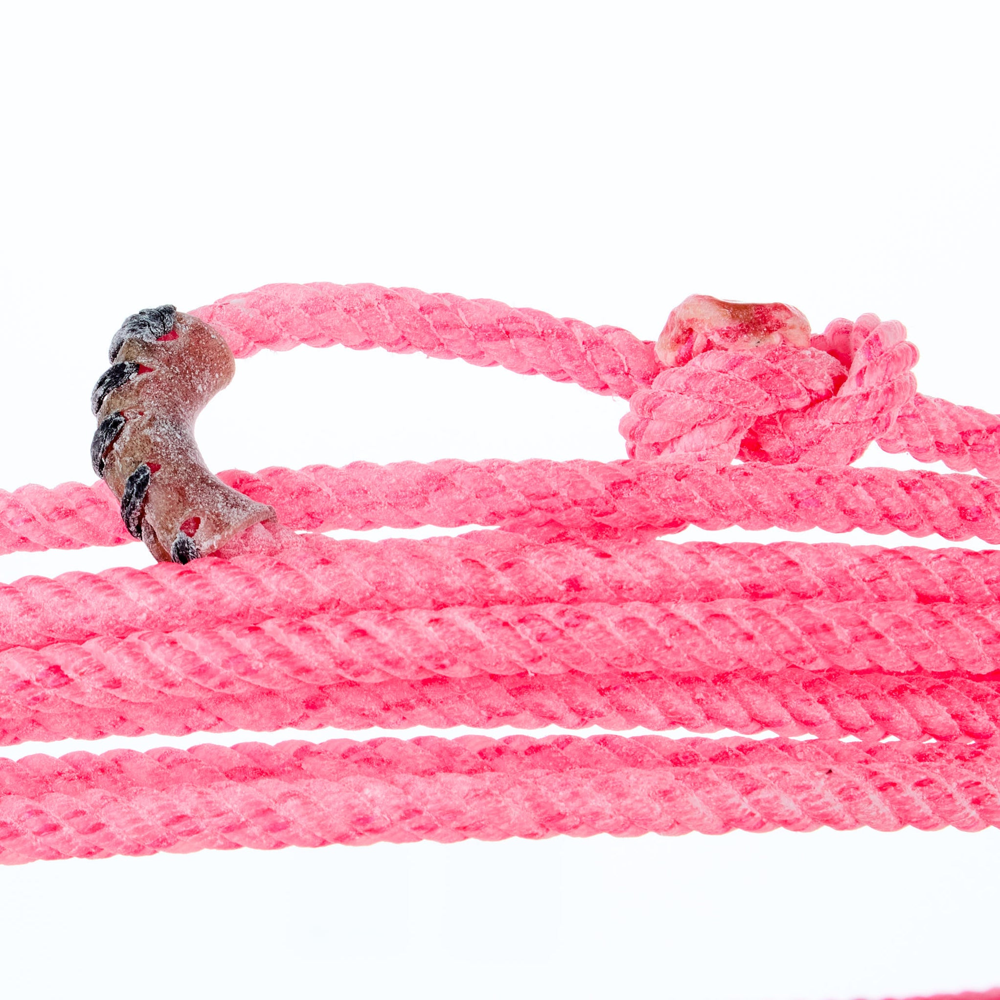 Cactus Ropes Relentless C4 36ft Heel Rope