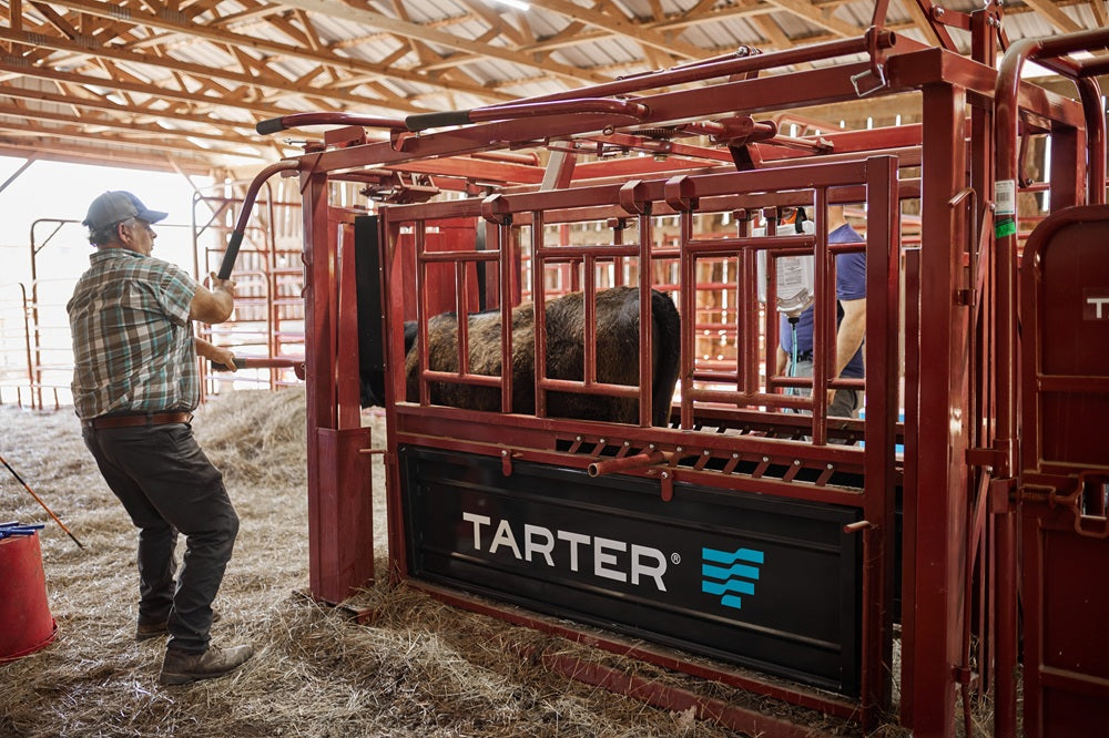 Tarter Cattlemaster Series 9 Squeeze Chute with Auto Headgate