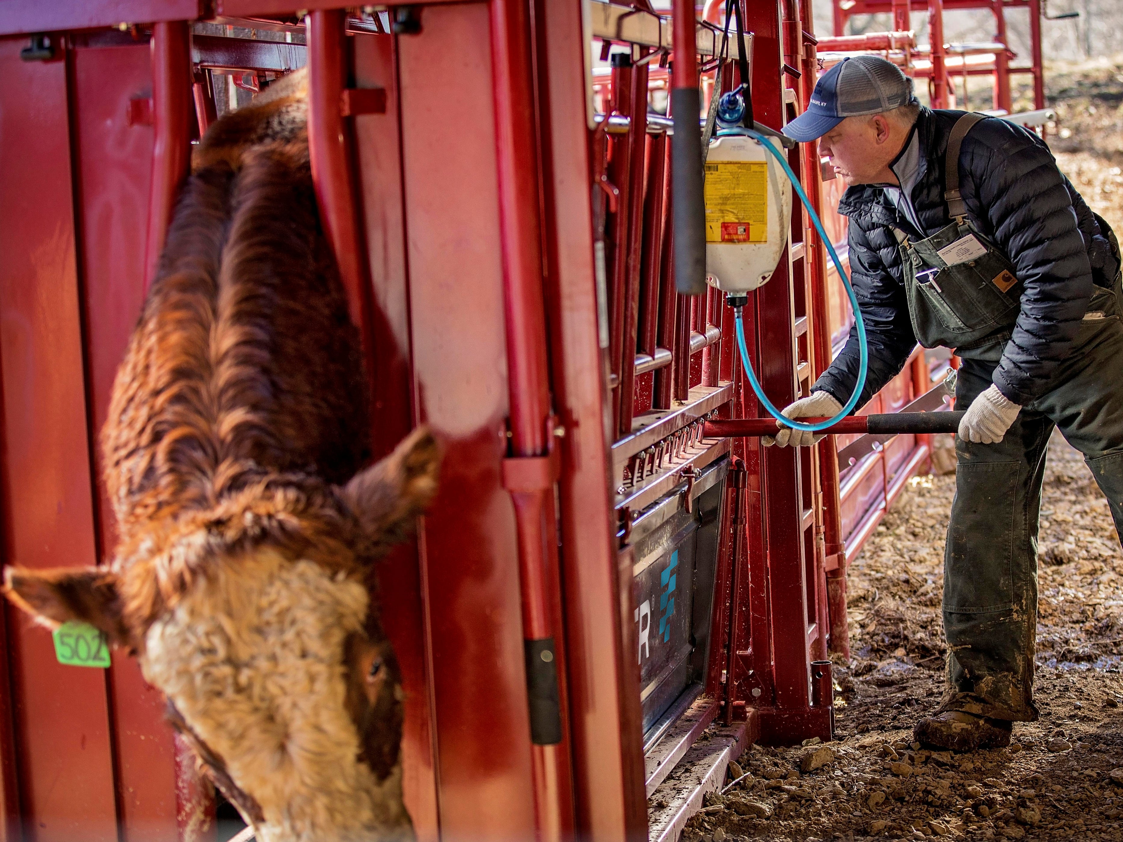 Tarter Cattlemaster Series 9 Squeeze Chute with Auto Headgate