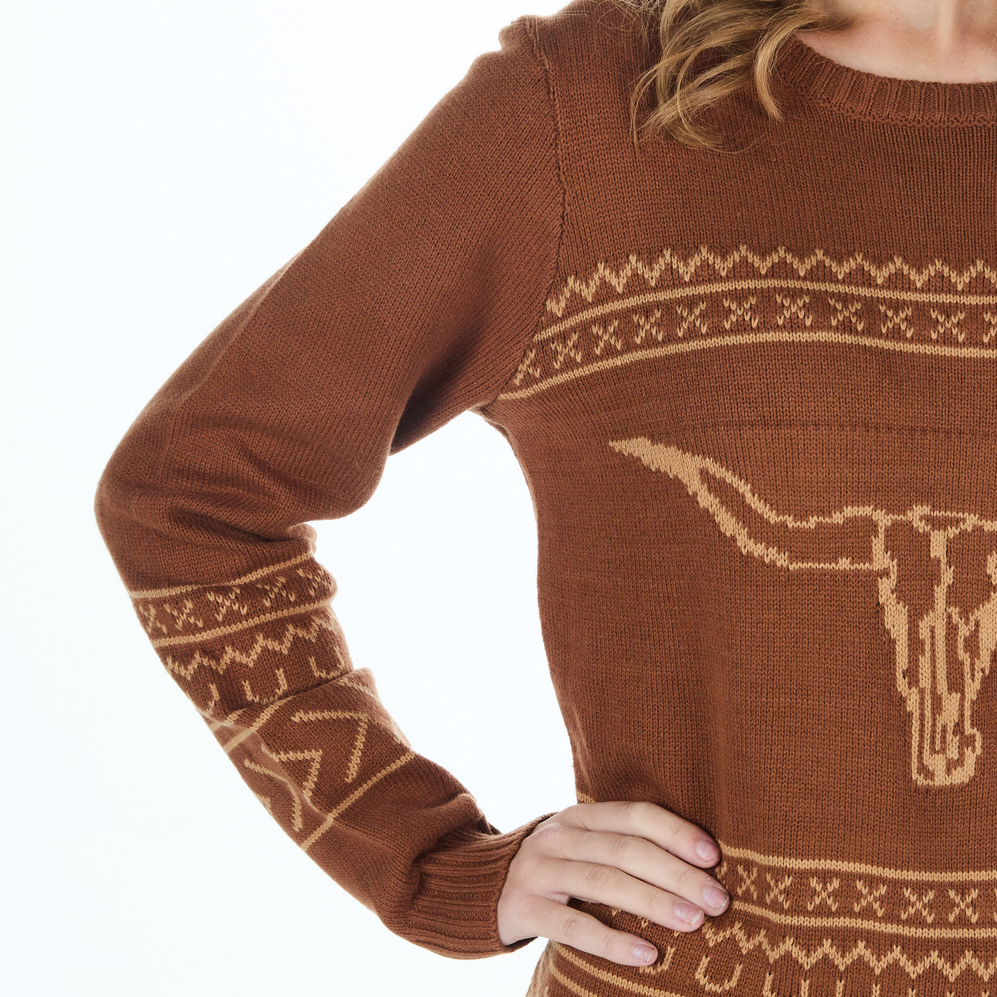 Cotton And Rye Outfitters & Cinnamon Longhorn Sweater