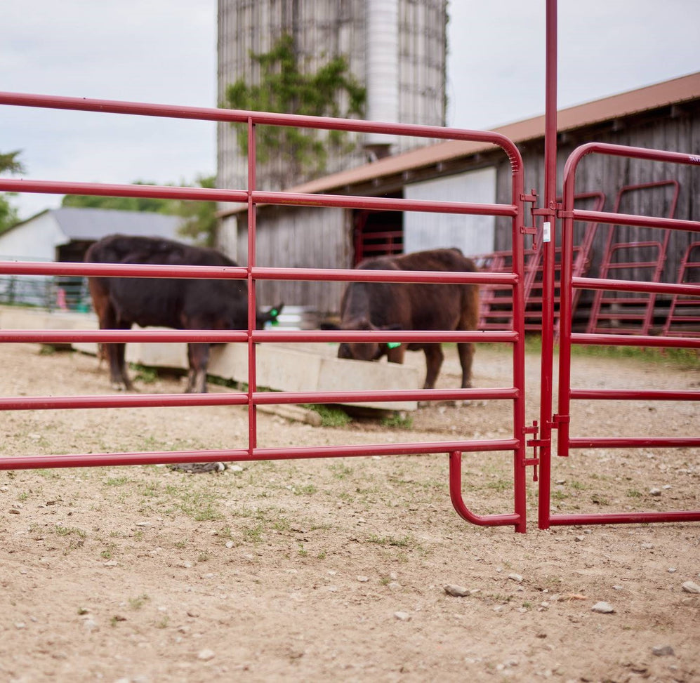 Tarter 10ft American Panel