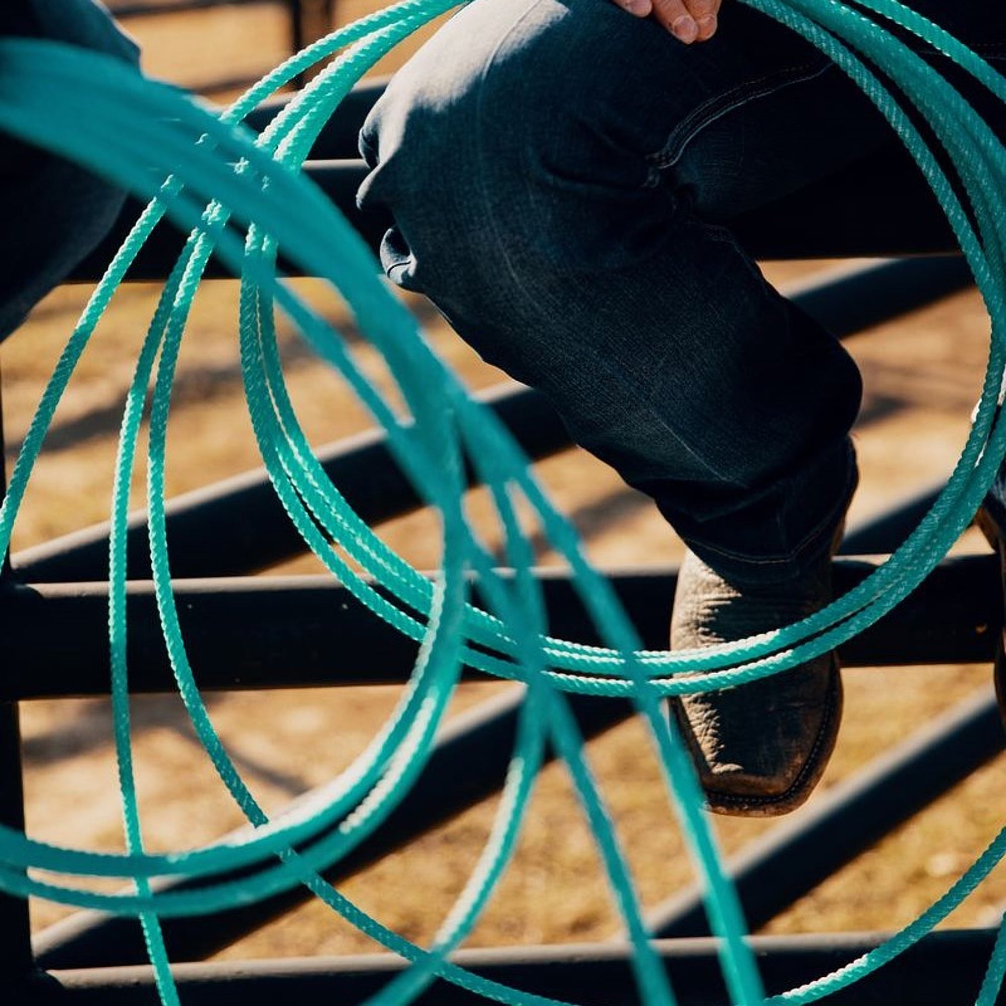 Cactus Ropes The Future 32ft Head Team Rope