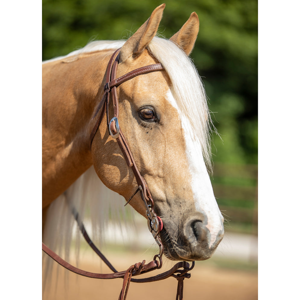 NRS TACK Oiled Straight Browband Headstall