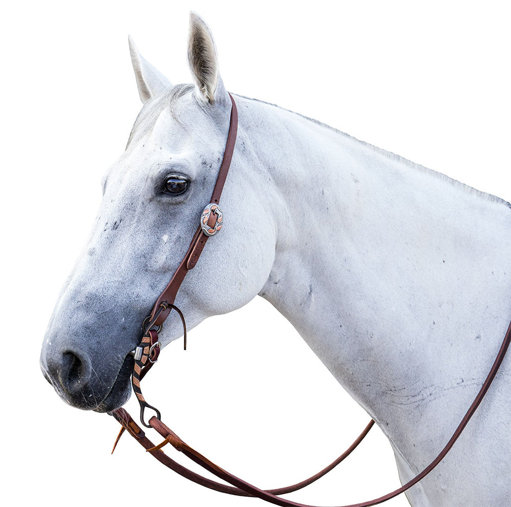 NRS Tack 5/8in. Oiled Slot Ear Headstall with a Vine Buckle