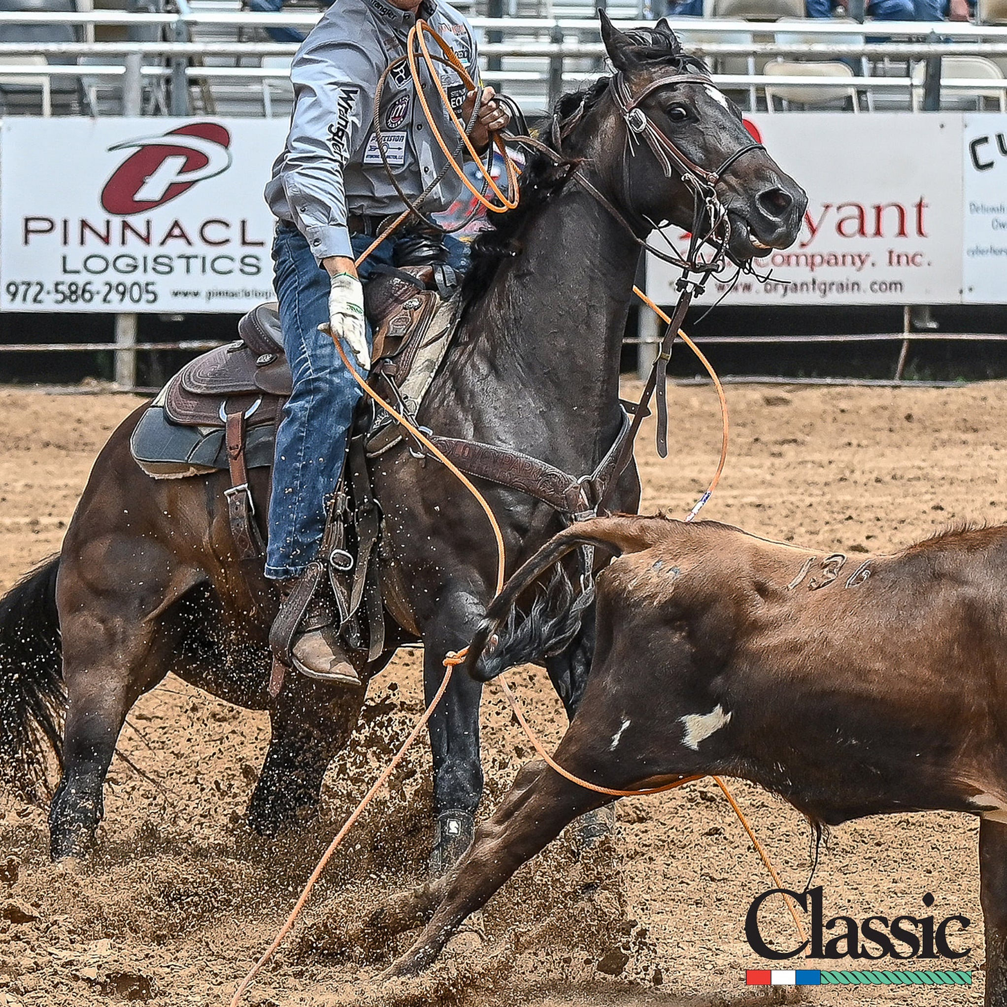 Classic NV4 35ft Heel Team Rope