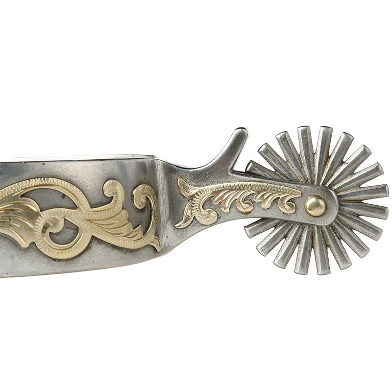 Professionals Choice Pro Silver Spur 20 Point Rowel w/ Chap Guard