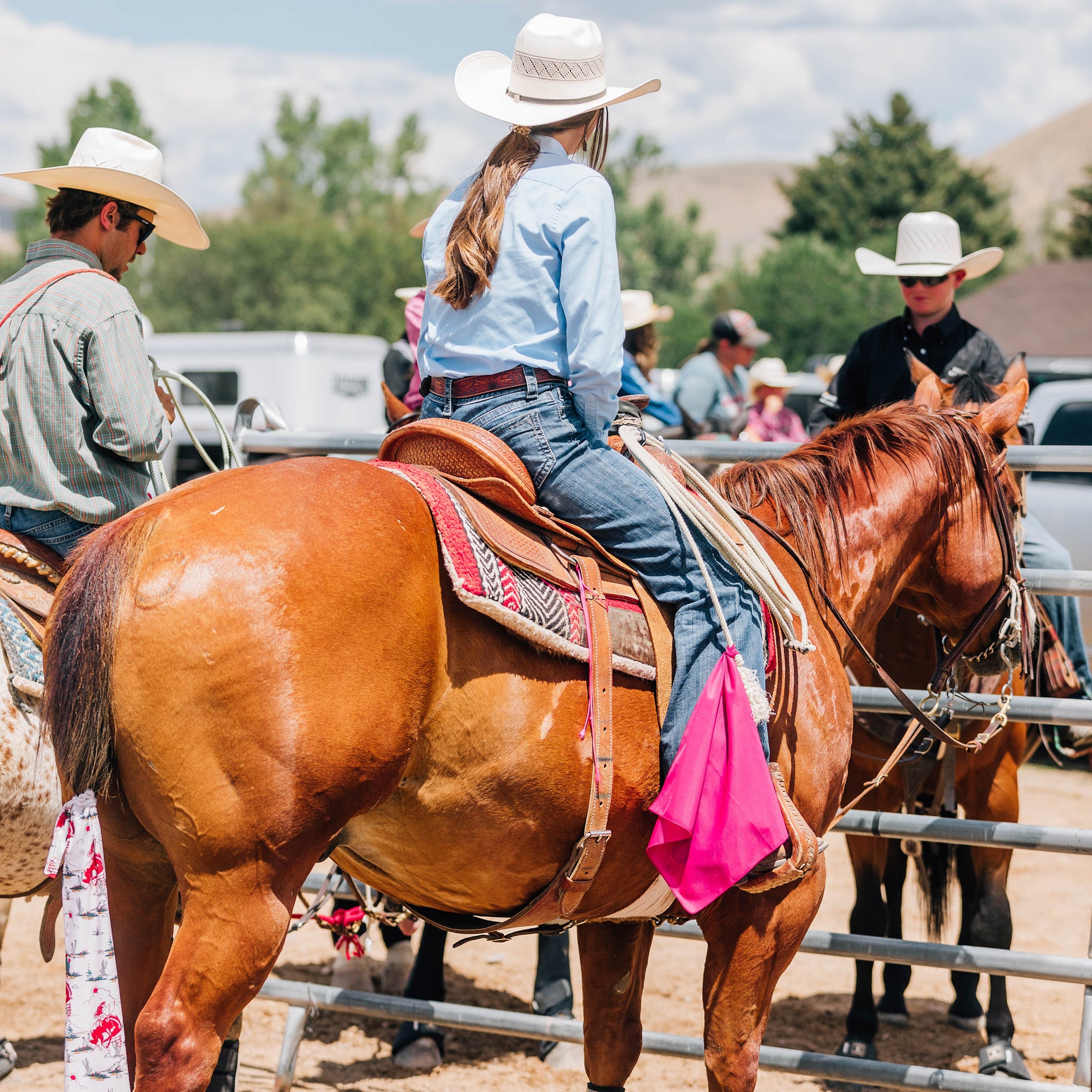 Prorate Equine Solid Breakaway Flag