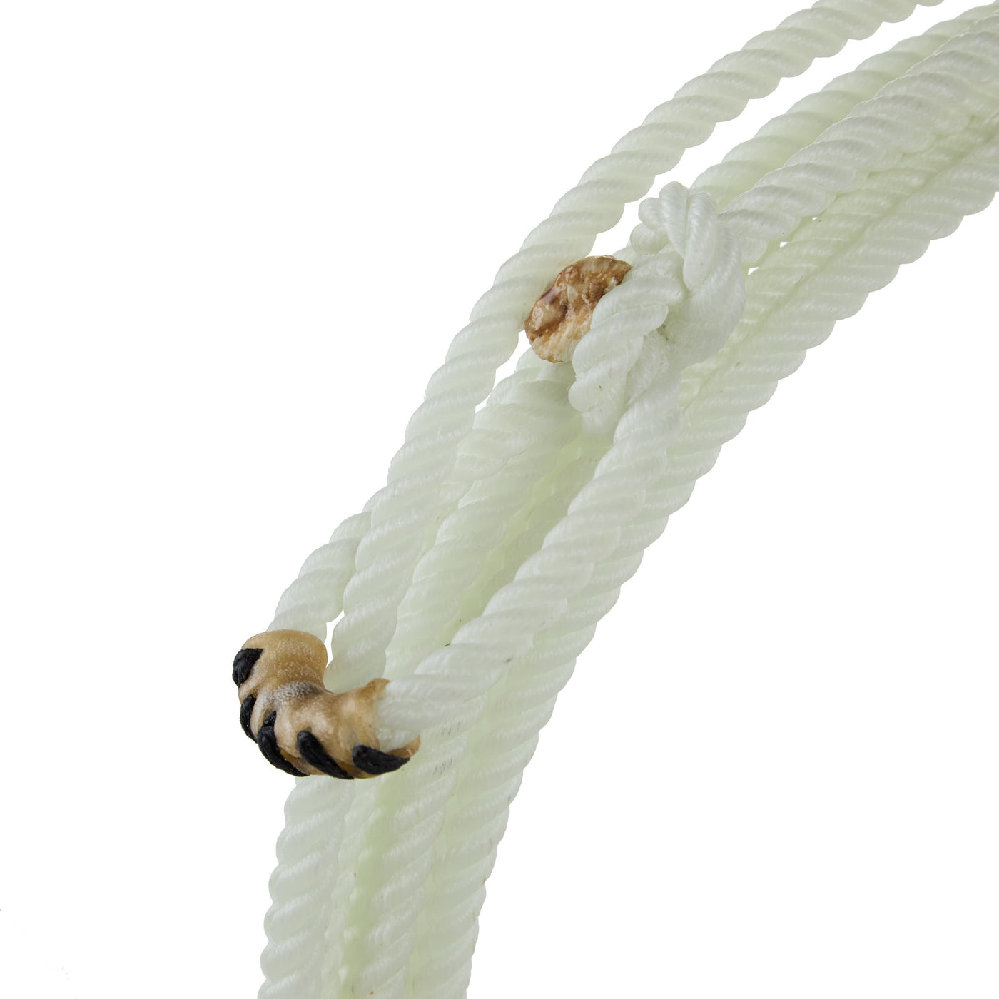 Cactus Ropes 35ft Ranch Rope