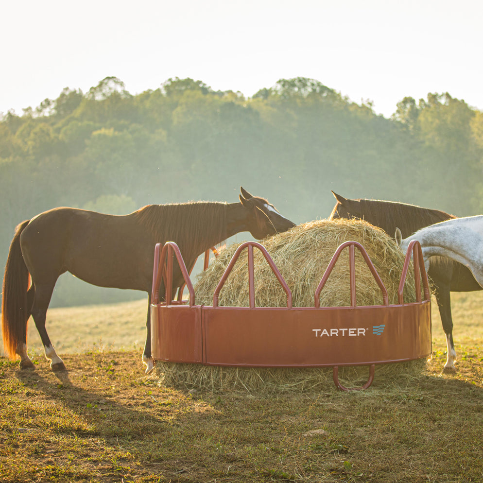 Tarter Equine Pro Hay Feeder with Hay Saver