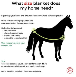 Reinsman Classic 420D Horse Stable Blanket with 250g fill