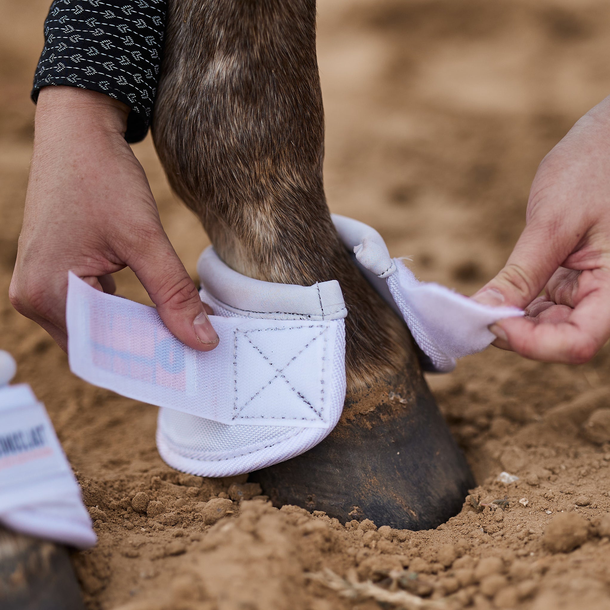 Iconoclast Horse Bell Boots