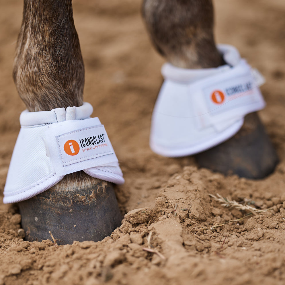 Iconoclast Horse Bell Boots