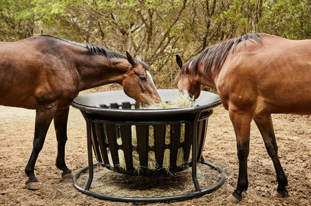Tarter Farm Ranch Hay Basket