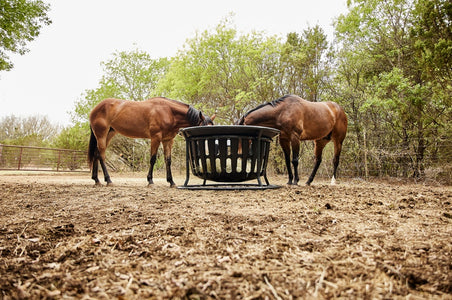 Tarter Farm Ranch Hay Basket