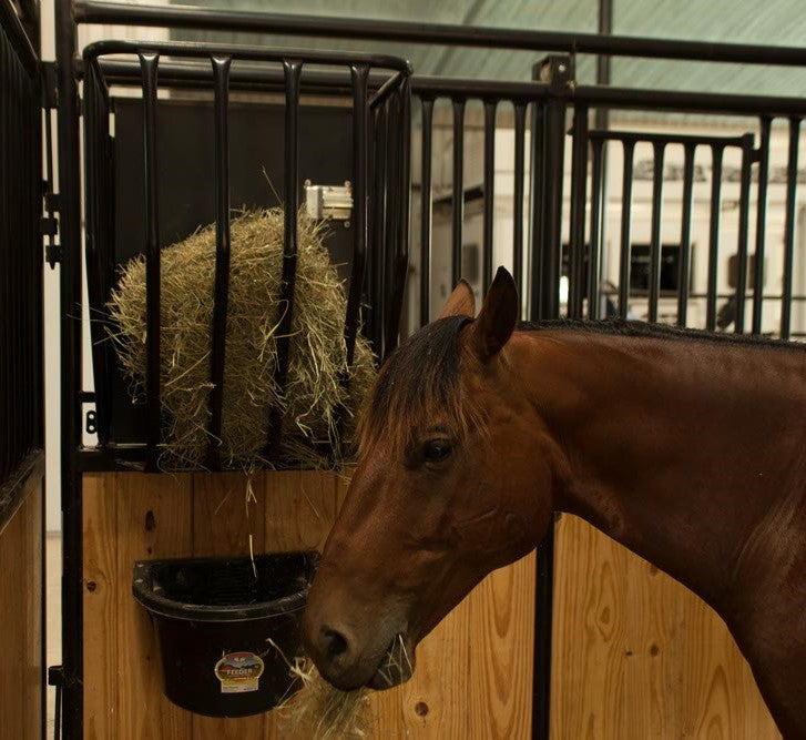 Priefert Premier Stall Feeder-Pin Connect