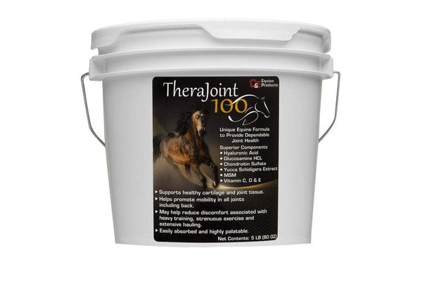 TheraJoint 100